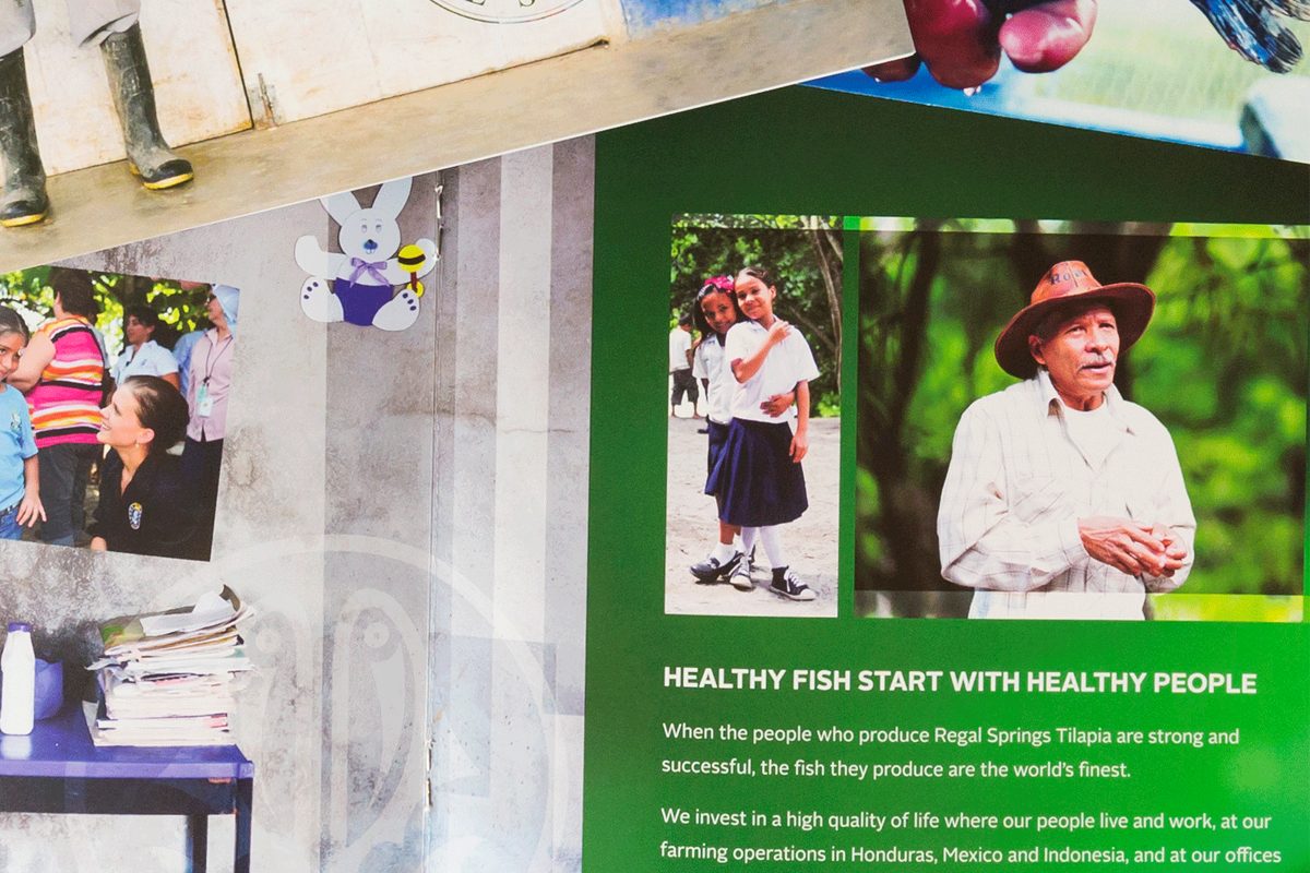 Regal Springs Seafood Marketing | Our Work | Creative Arcade